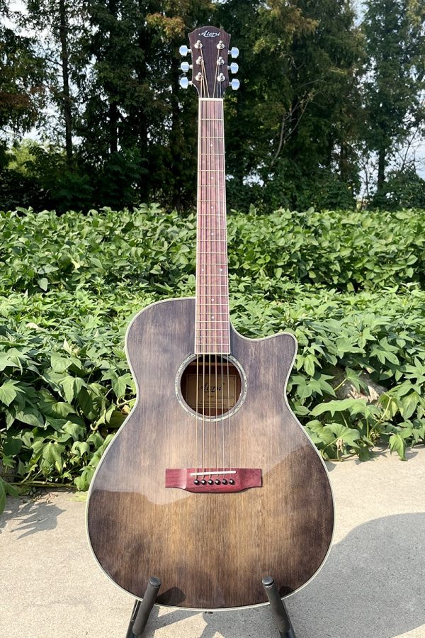 Aiersi Brand Guitar, Bass,Ukulele and Yulong Guo Nomex Double Top ...