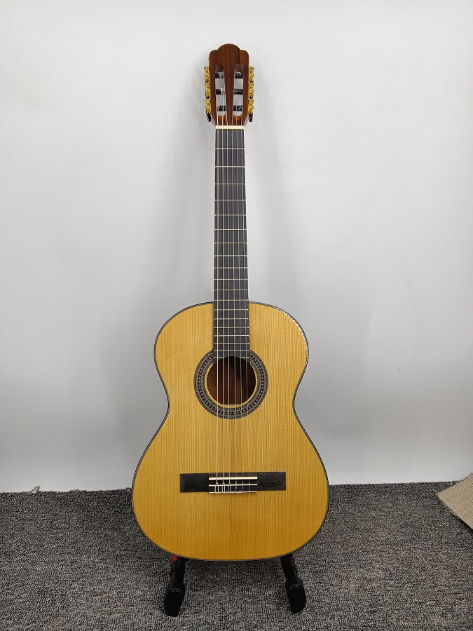 Aiersi Guitar Ukulele