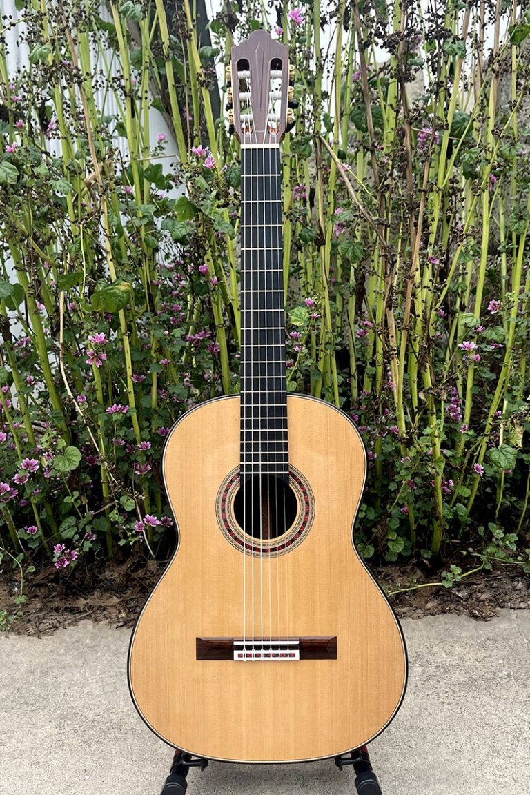 Friederich guitar video aiersi Archives - Aiersi Guitar