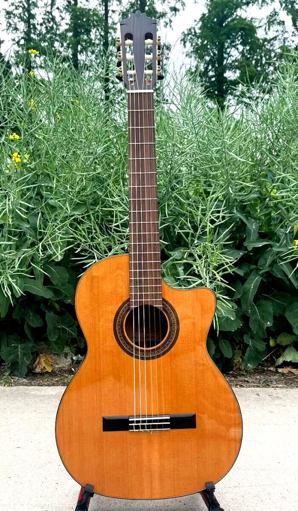 Glossy Cutaway All Solid Cedar Top Rosewood Body Classical Guitar