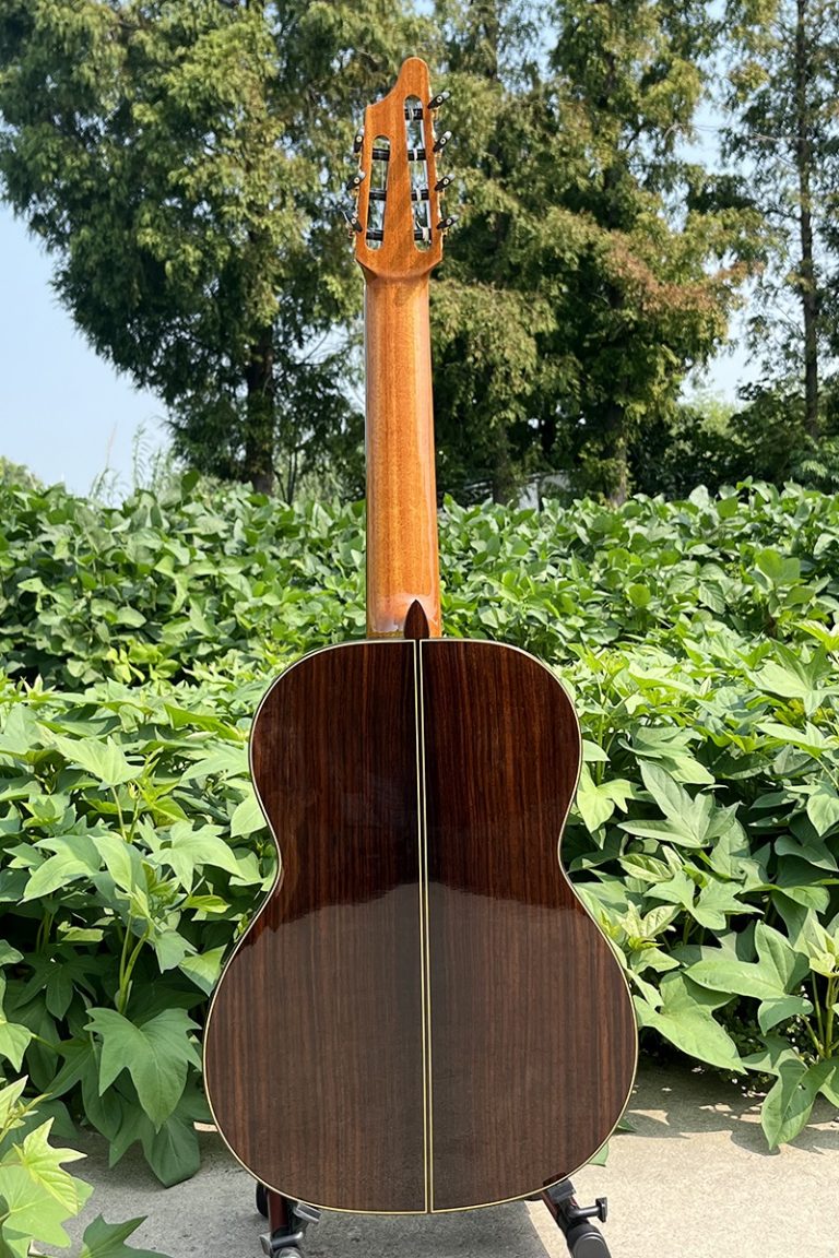 [Video Demo] 7 String Classical Guitar - Aiersi Guitar