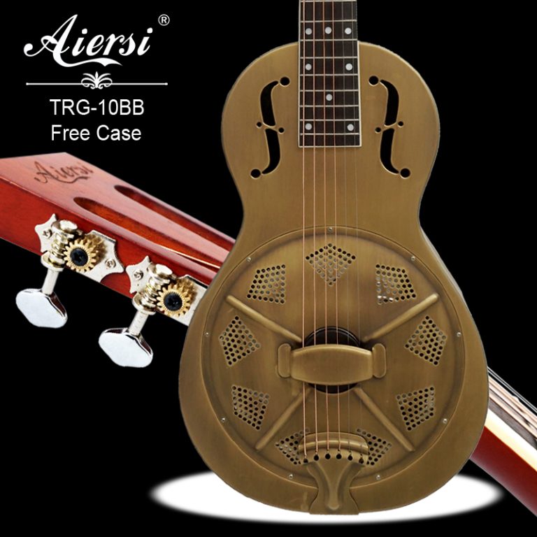 ST Electric Guitar Kit – Aiersi Guitar