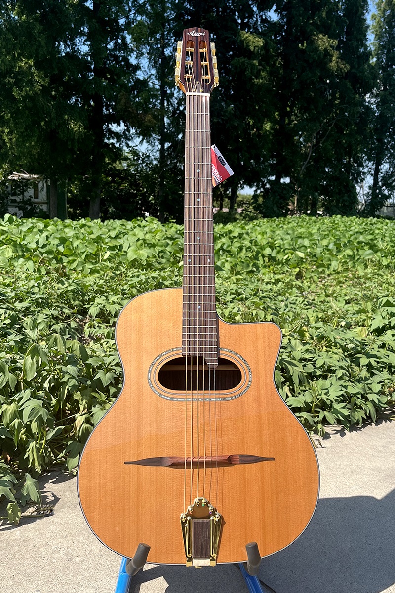 Store - Aiersi Guitar