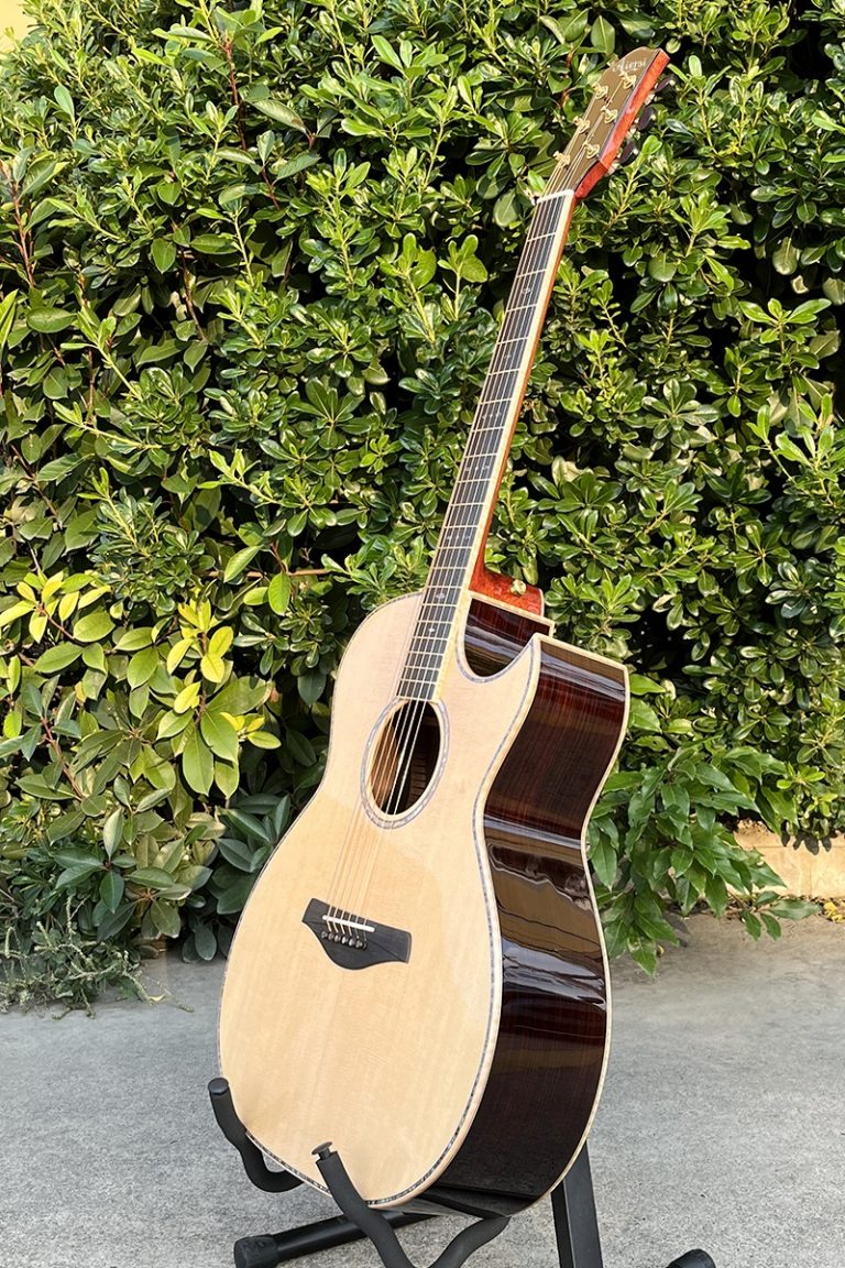 Store - Aiersi Guitar